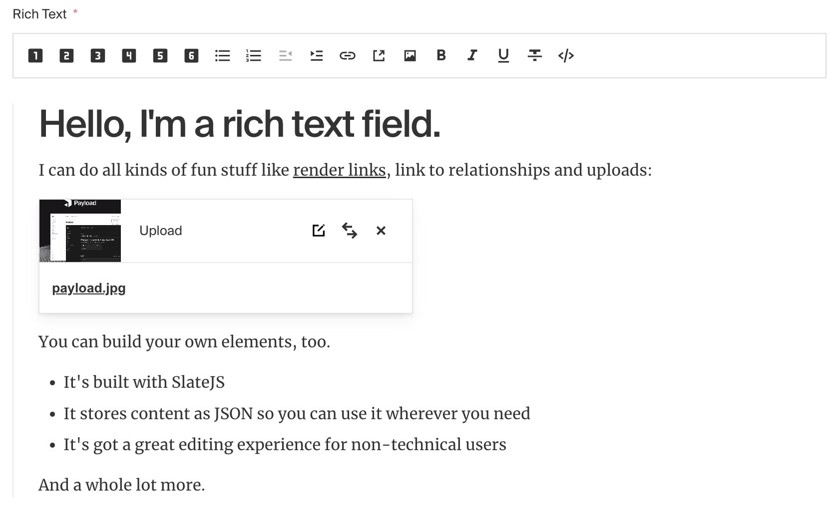 Rich Text Field Documentation Payload CMS